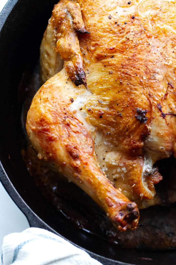 Zuni Cafe Roasted Chicken-Perrys Plate